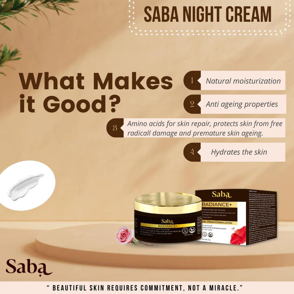 Saba Radiance+ Night Cream with Niacinamide, Cocoa Extract & Actives ...